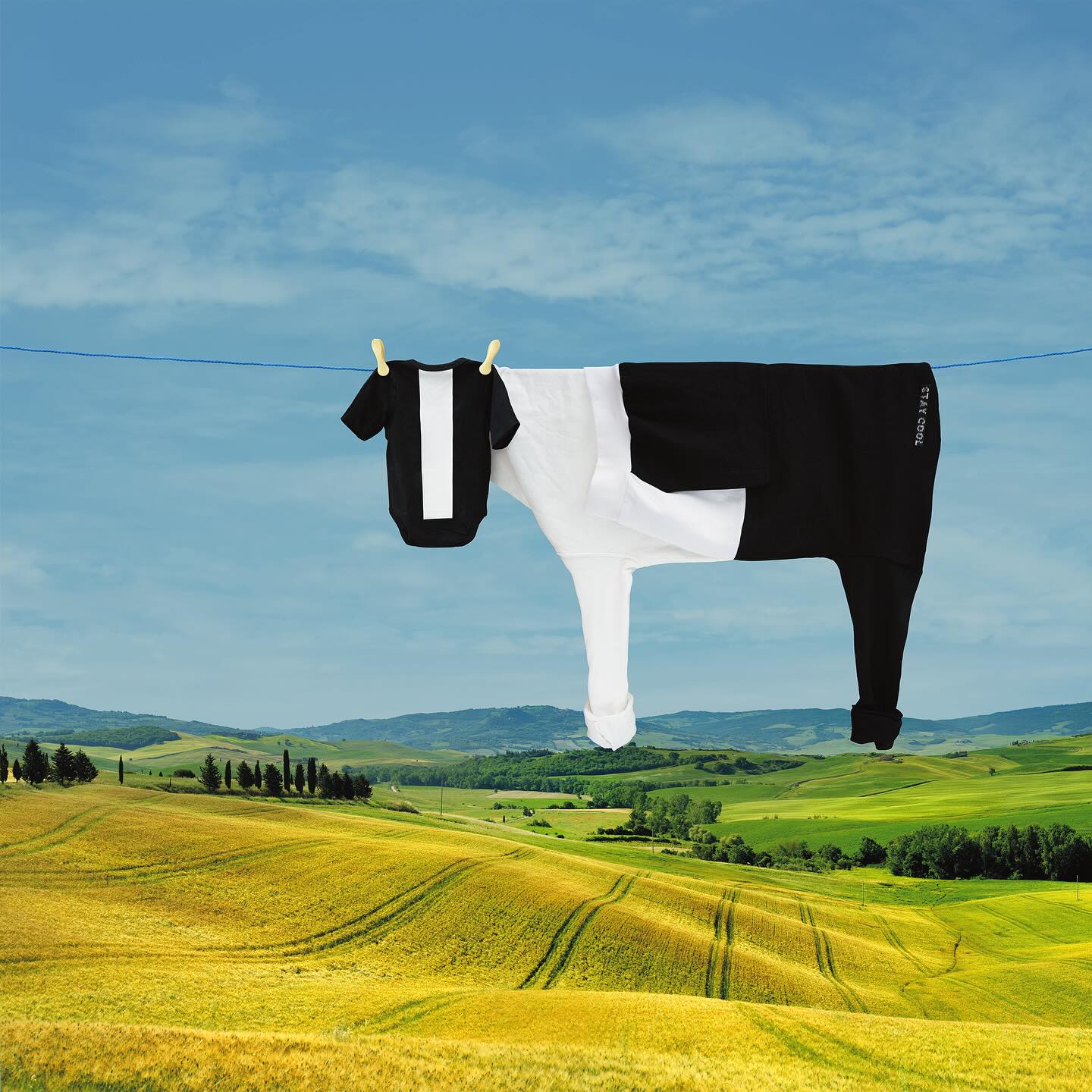 Enchanting Clothesline Animal Portraits by Helga Stentzel - WOWPARROT