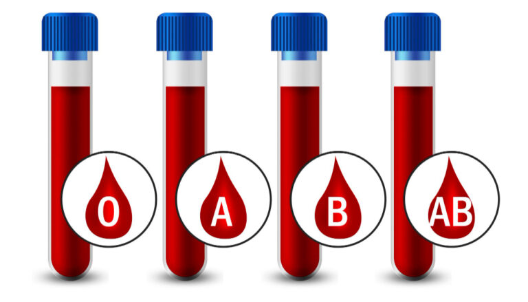 Which Blood Types Attract Mosquitoes? Here’s What Science Says - WOWPARROT