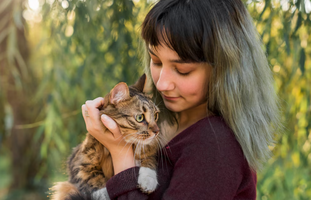 Do Cats Make Friends? Experts Reveal the Truth About Feline ...